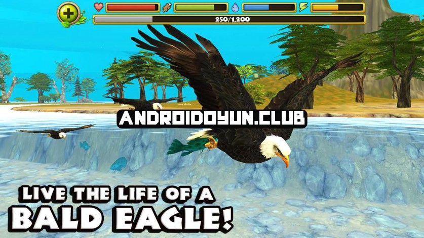Eagle Simulator 1.0 FULL APK