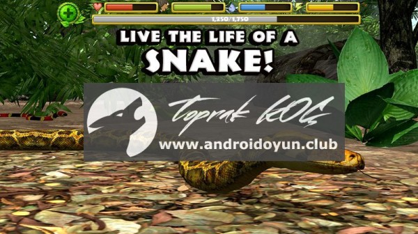 Snake Simulator v1.1 FULL APK