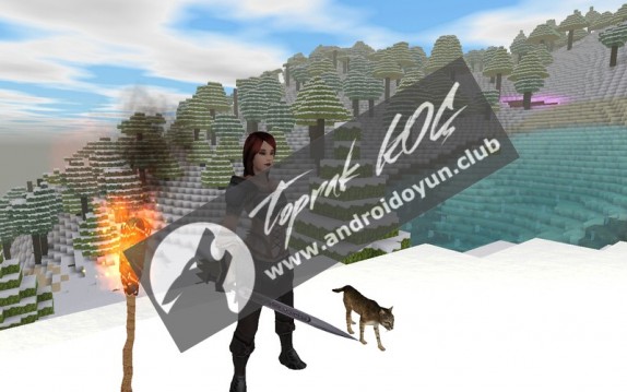 Block Story Premium v10.0.4 FULL APK