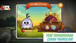 Angry Birds 2 v2.21.1 MOD APK – PARA HİLELİ